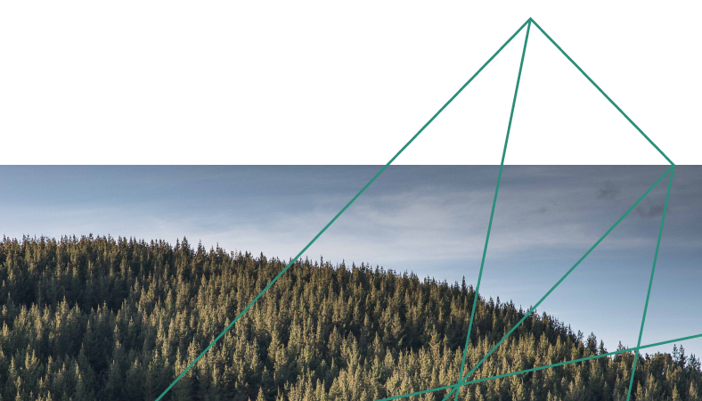 Access New Zealand's carbon market